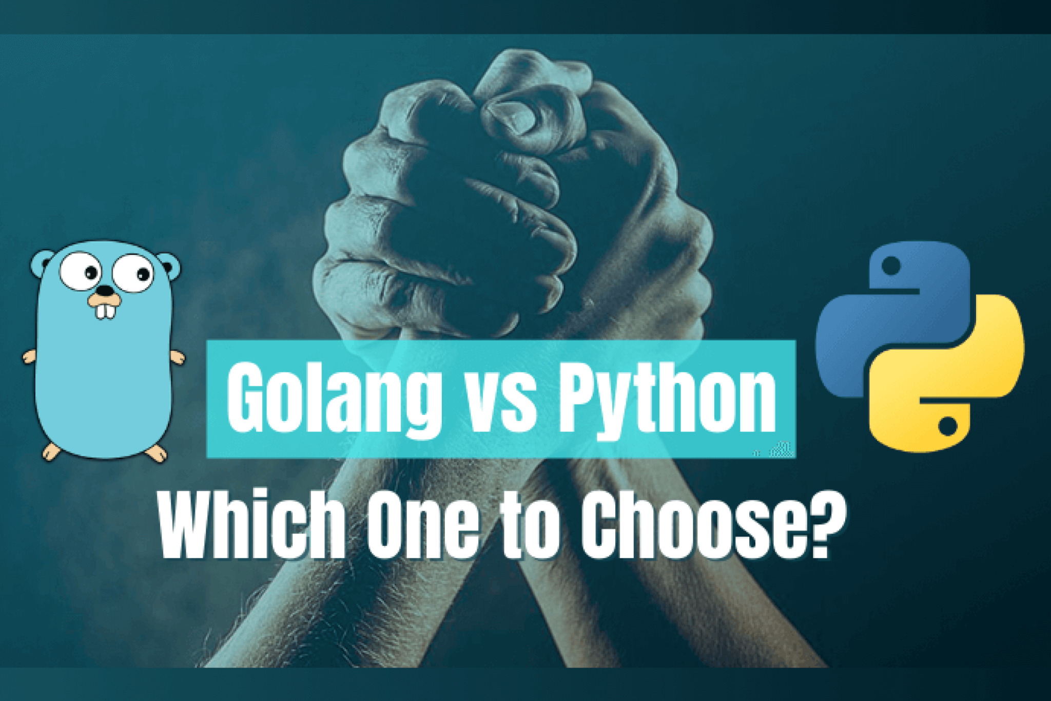 Golang Or Python Best Choice For Back end QIT Software
