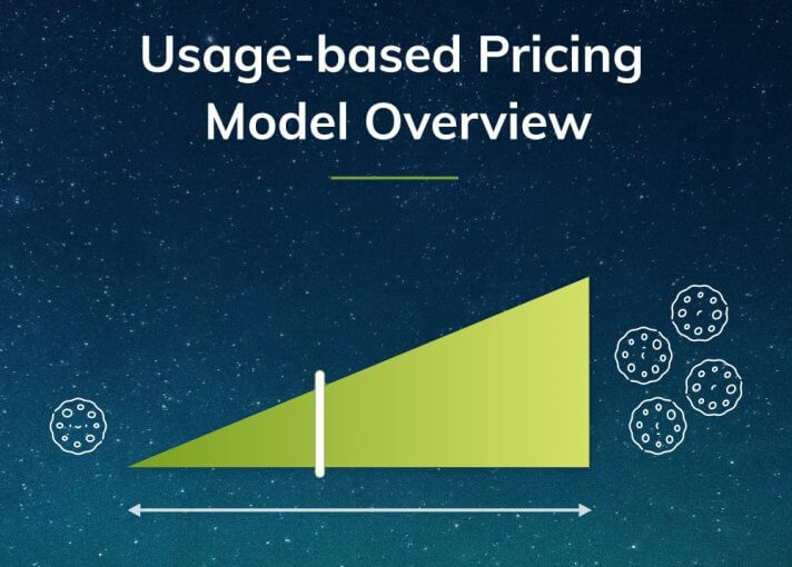Software Pricing Models: How To Choose The Best One | QIT Software